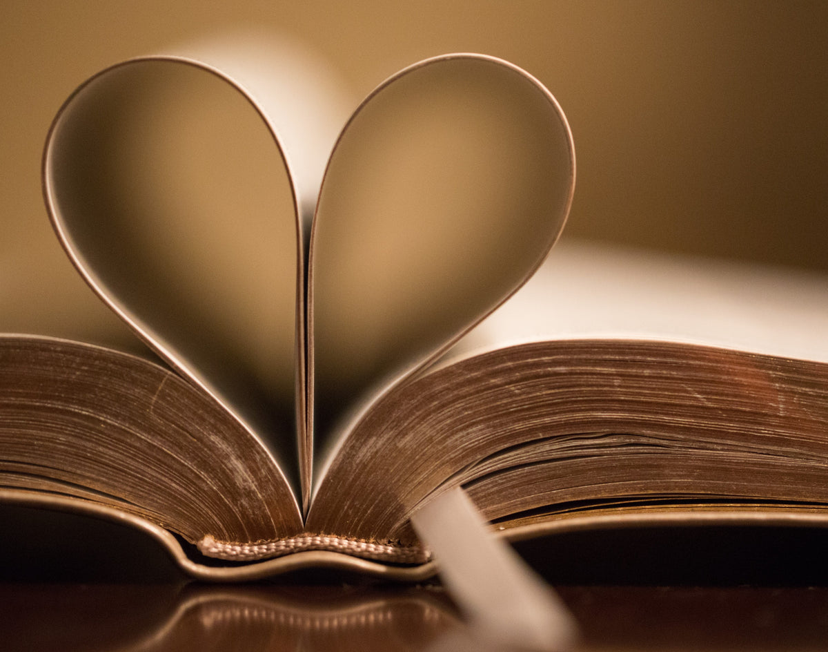 Lovely Dreams – Chic Vibe